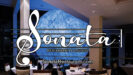 Sonata | Restaurant & Lounge | St. Petersburg, FL